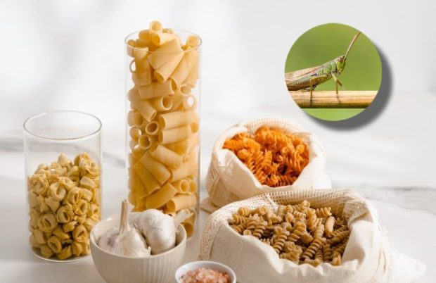 Cibi a base di insetti: come riconoscerli